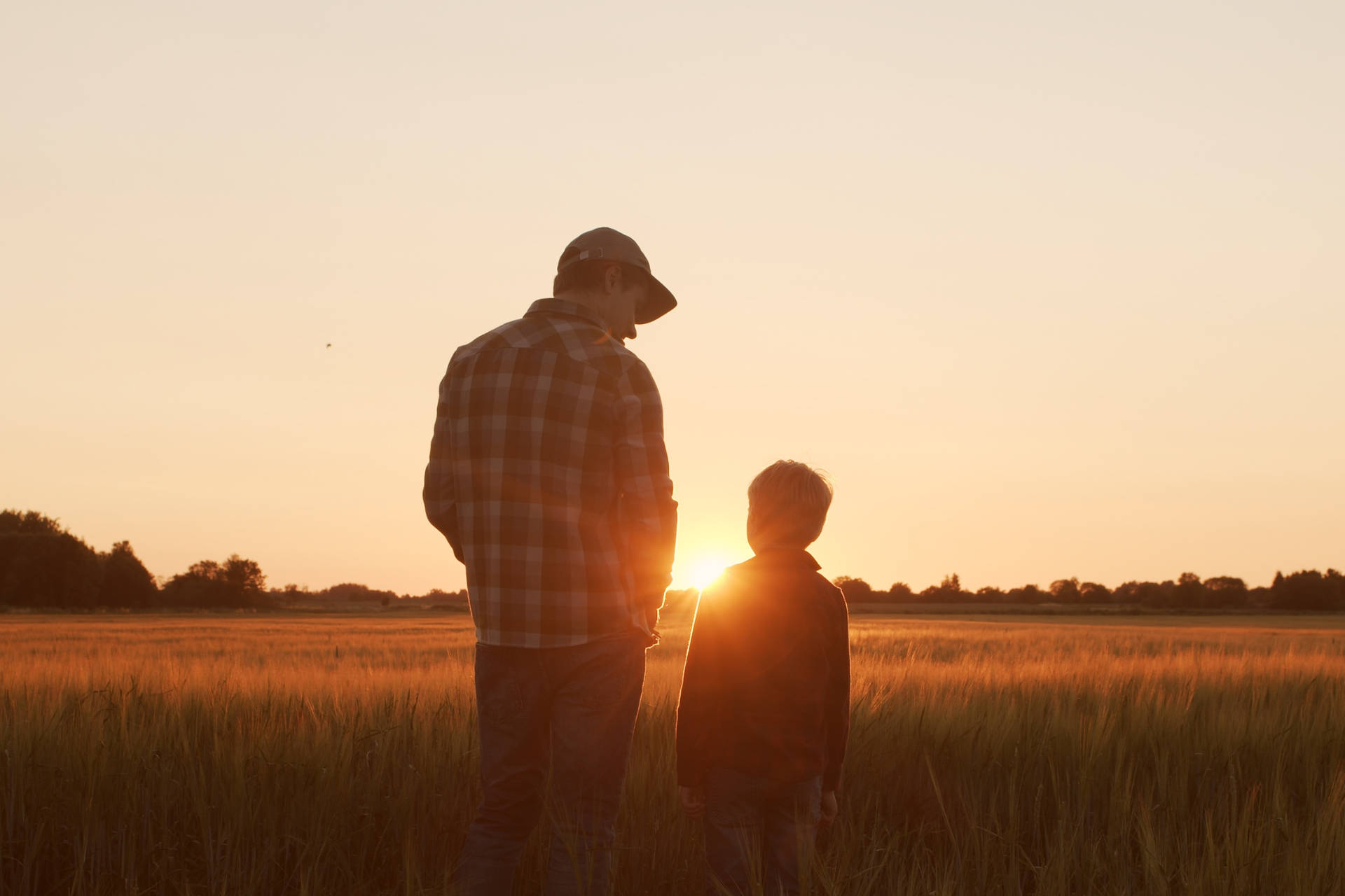 Do I Have to Sell My Farm in a Divorce? Understanding Property ...